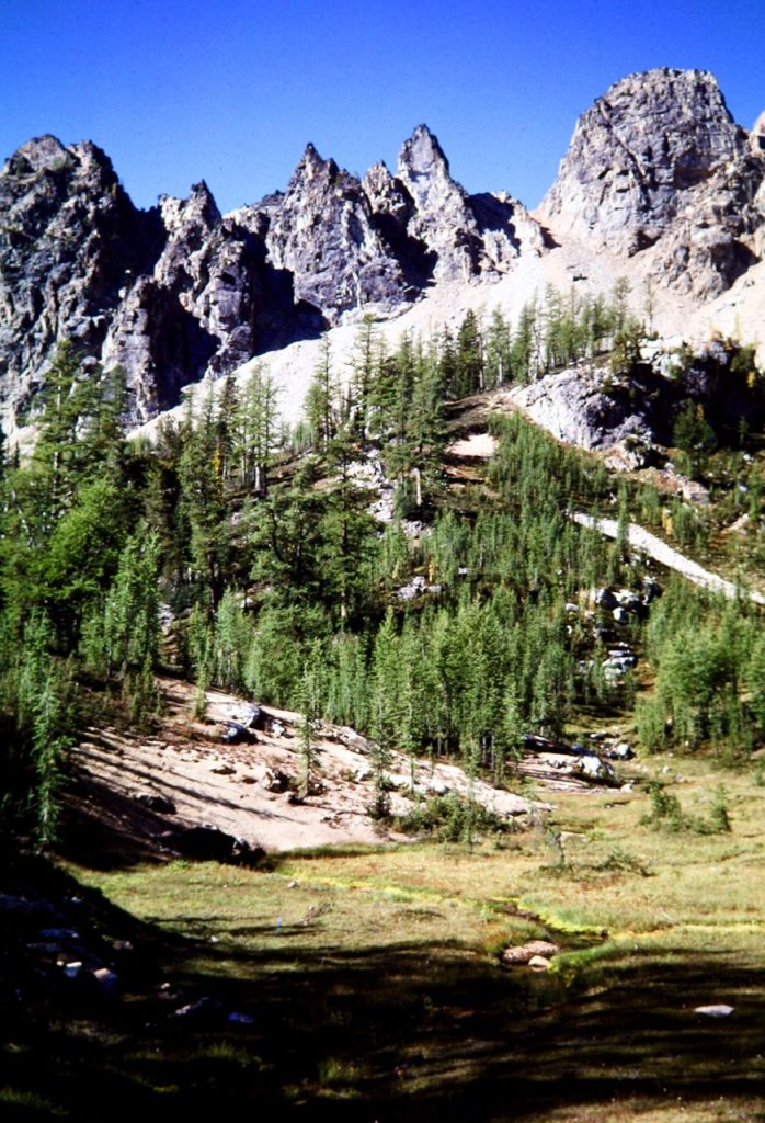 Cardinal Peak + Emerald Peak + Saska Peak + Pinnacle Mtn + Milham Pass ...